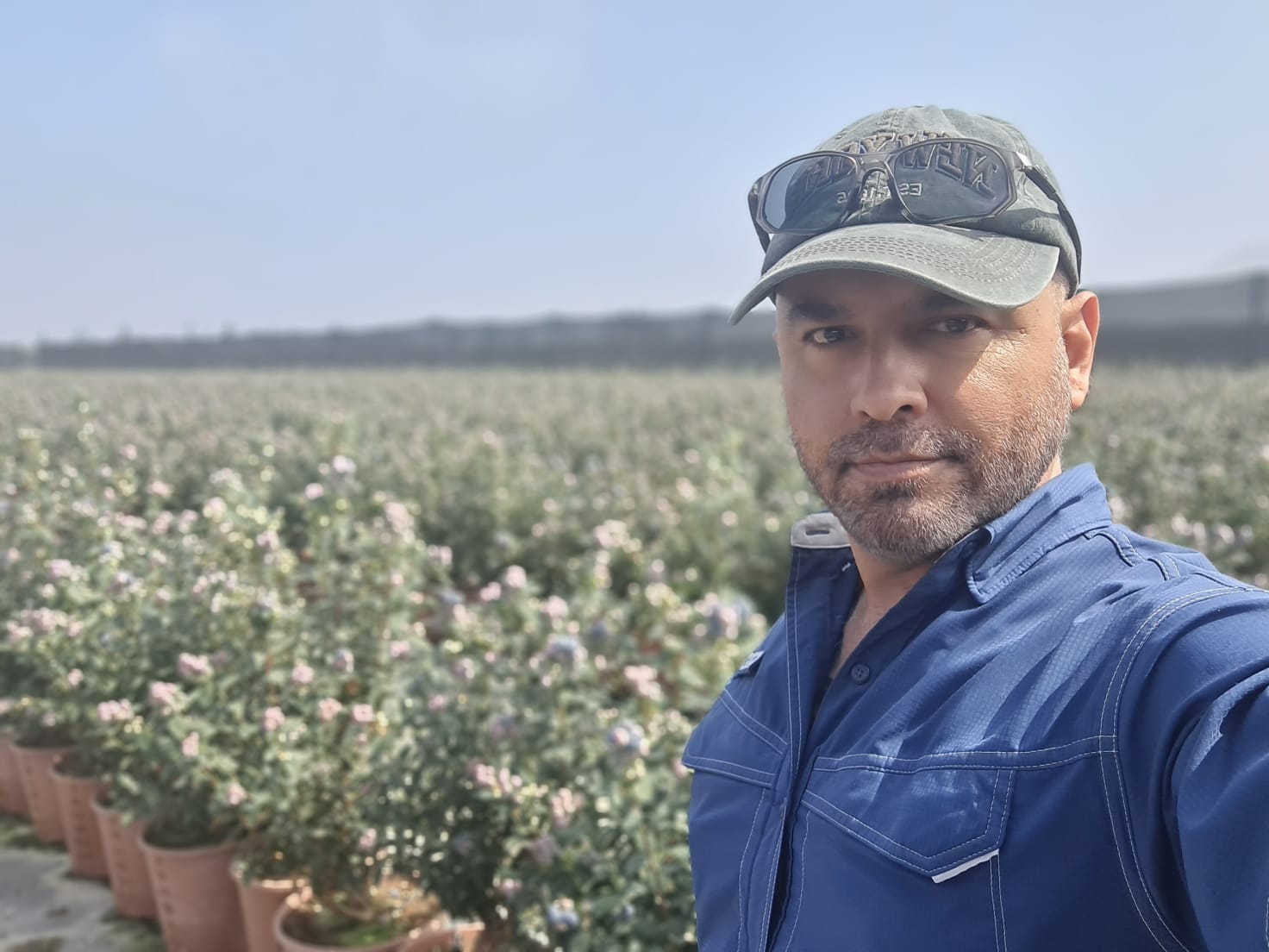 Fenómeno del Niño: Su impacto en la logística de las agroexportadoras