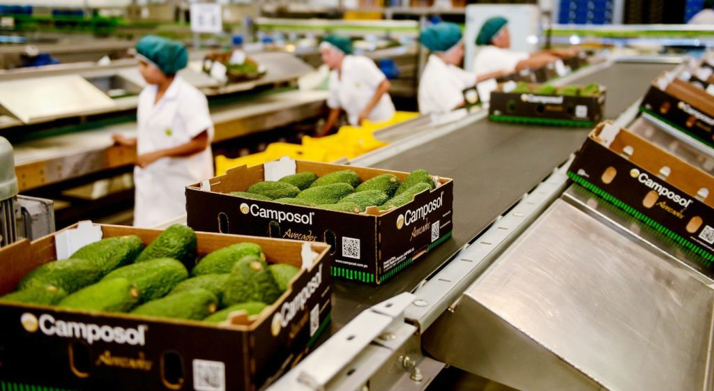 Camposol lidera agroexportaciones en el primer bimestre de 2024